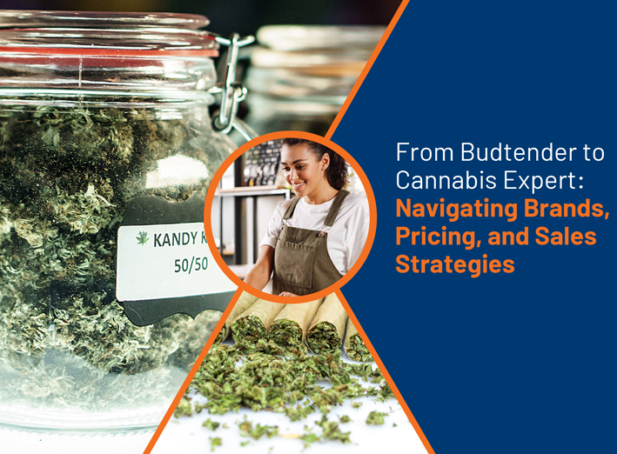 From Budtender to Cannabis Expert: Navigating Brands, Pricing, and ...