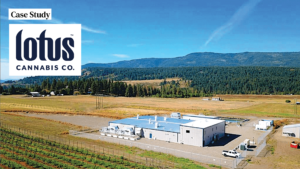 Managing inventory for CTLS Health Canada reports: What you need to ...